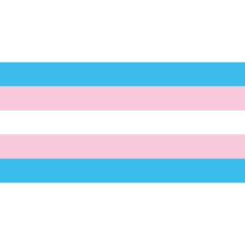 cropped-trans-flag.png – Hamilton Trans Health Coalition